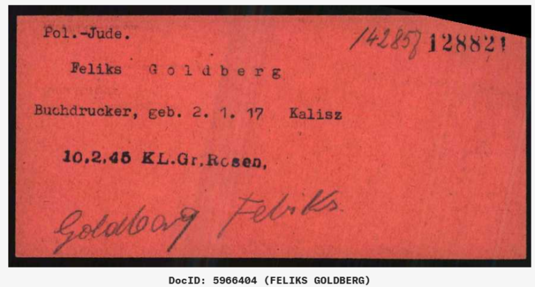 Felix Goldberg Grossrosen ID Card - Stories Of Survival